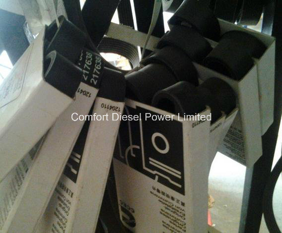 217638 Water Pump Belt for Cummins Engine Parts - China Generator ...