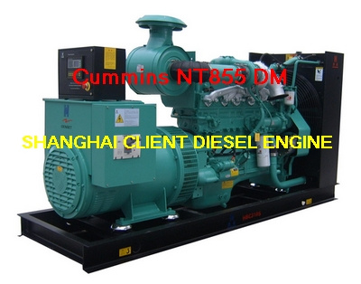 Cummins Engine for Marine Genset (Cummins NT855 DM) - China Generator ...
