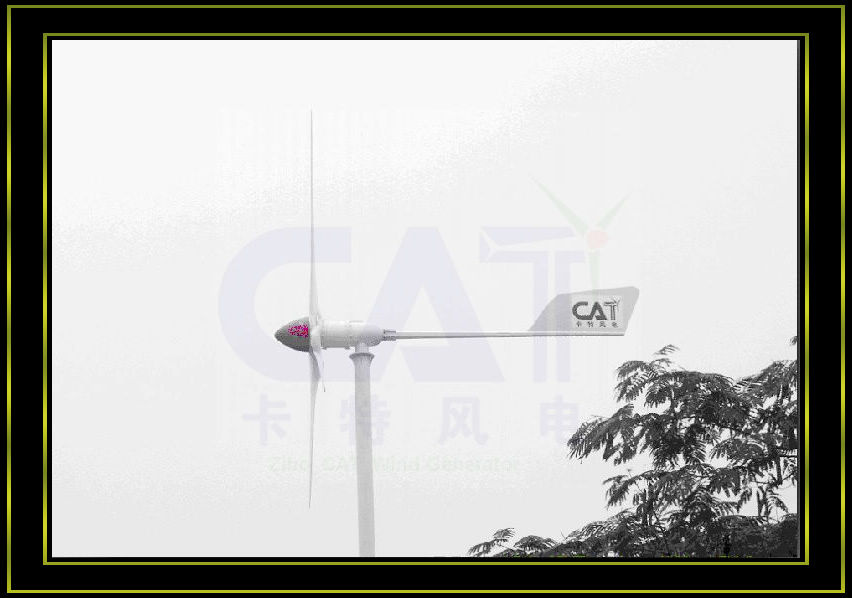 1000W Wind Turbine Generator (CAT-1KW) - China Generator Products ...