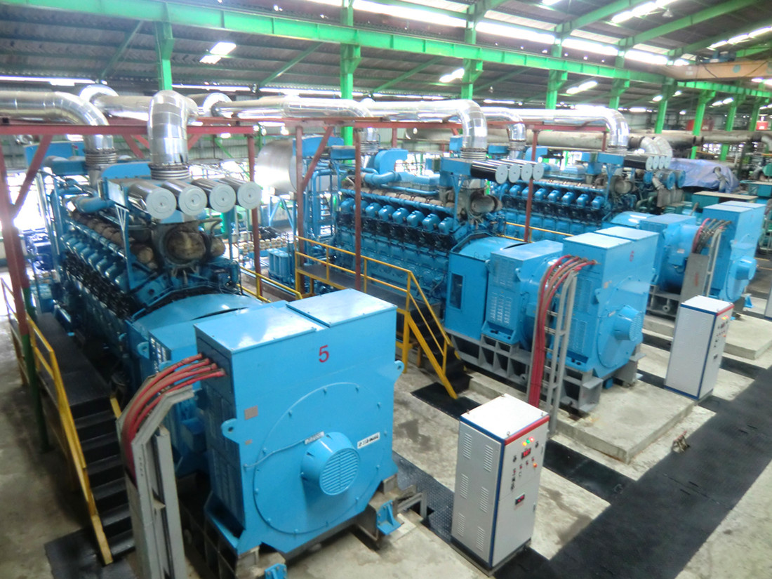 1MW-500MW Power Plant with Fuel Diesel Gas Dual Fuel Hfo - China ...