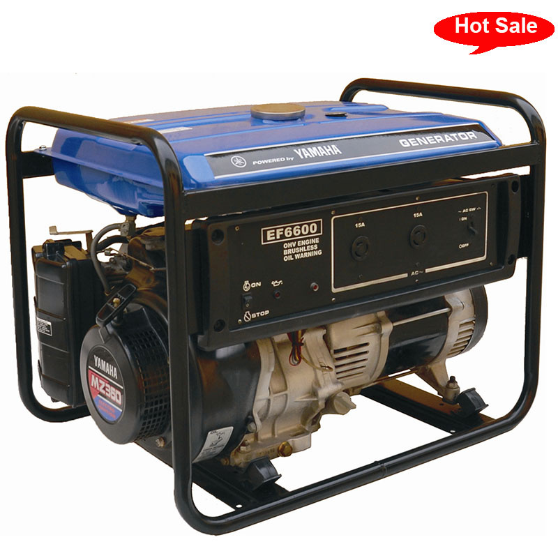 Reliable New Type Single Phase Generator - China Generator Products ...