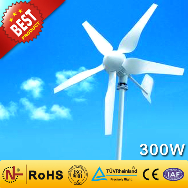 Permanent Magnet Coreless Generator for Wind Turbine-300W - China ...