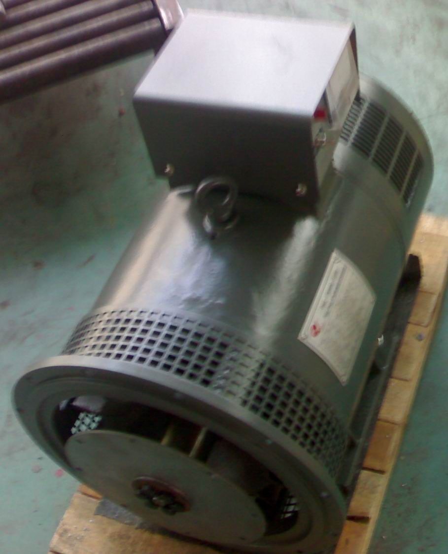 Brushless Generator (LSG) - China Generator Products, Generator ...