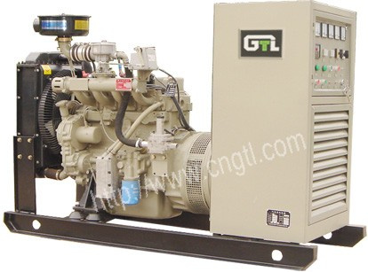Gas Generator (NGP30 Series) - China Generator Products, Generator ...