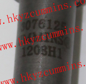 Chongqing Cummins 3076125 Barrel & Plunger Kta19 Kta38 Kta50 - China ...