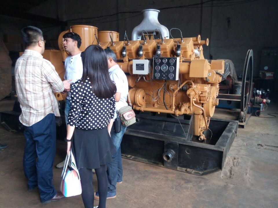 ISO 9001 Gas/Electric Motor Nature Gas Engine Generator Sets - China ...